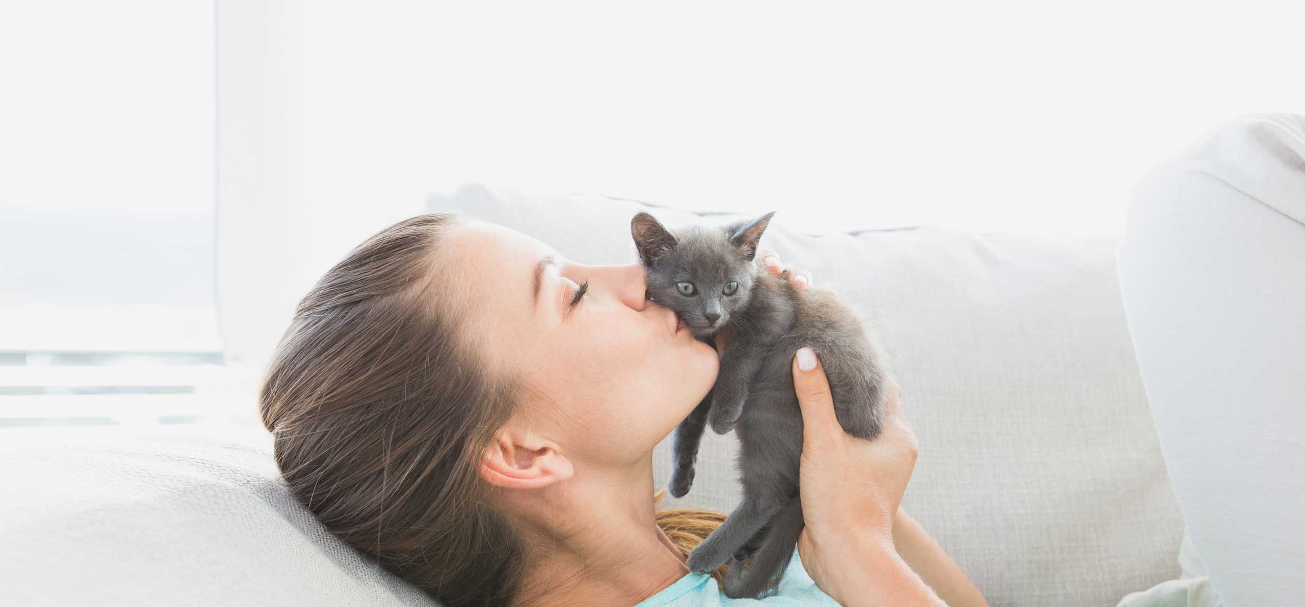 Kitten Care: Must-Know Tips for Raising Kittens | Pawjourr Blog