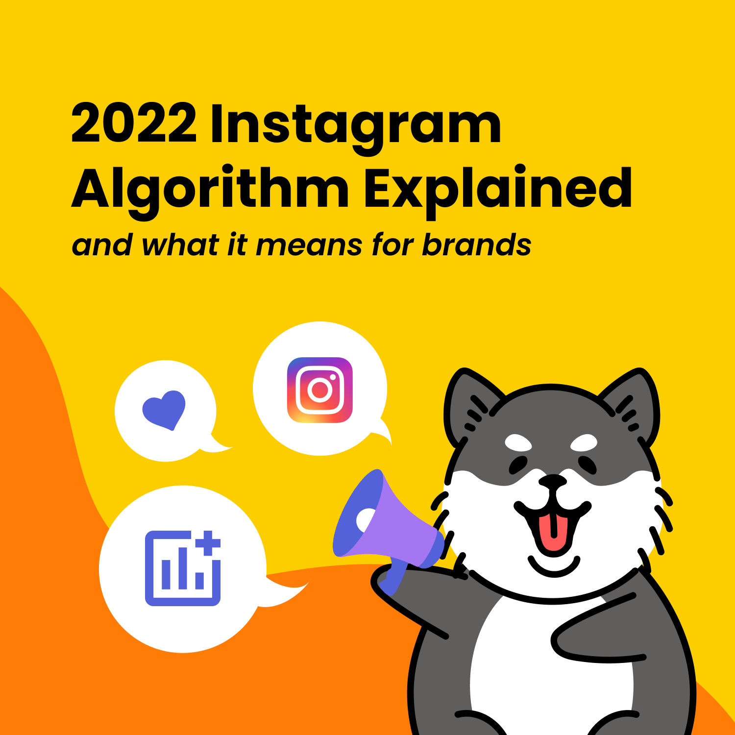 2022 Instagram Algorithm Explained – and what it means for brands | Pawjourr Blog